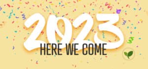 Debt Review | Debt Consolidation and Debt Counselling South Africa